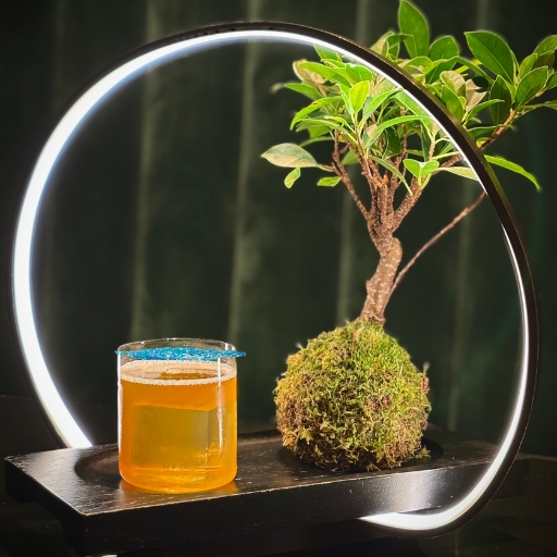 The Rise of Craft Rum Cocktails